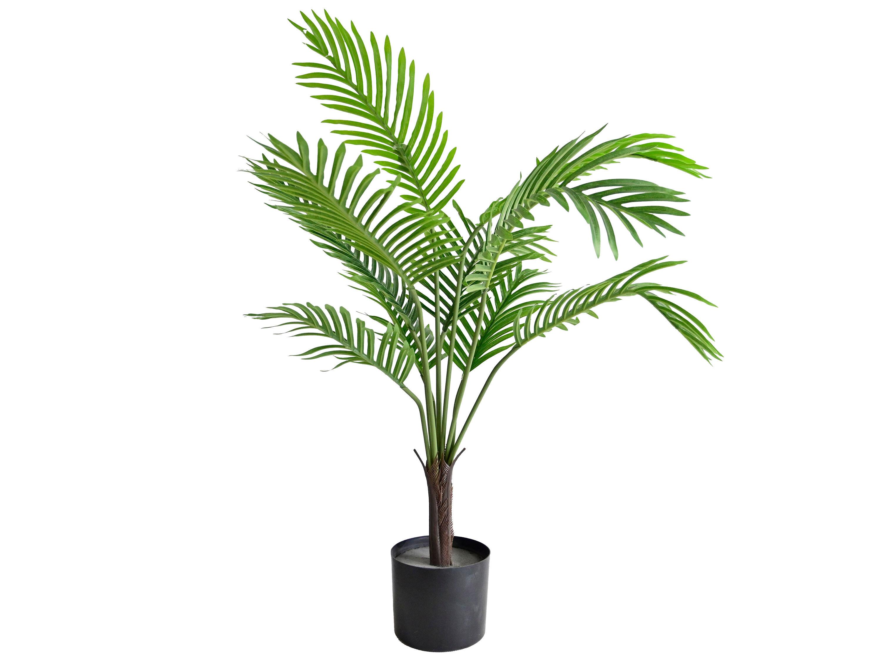 Palma w doniczce 60 cm wysokość 80 cm - Bricomarche.pl