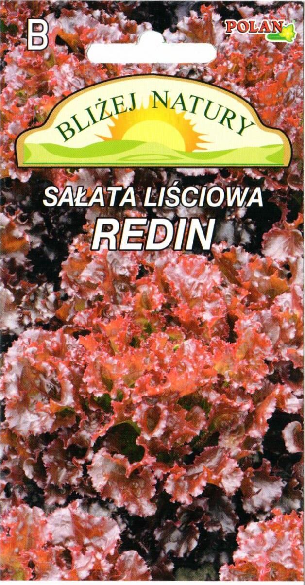 Sałata liściowa redin 0,5 POLAN - Bricomarche.pl