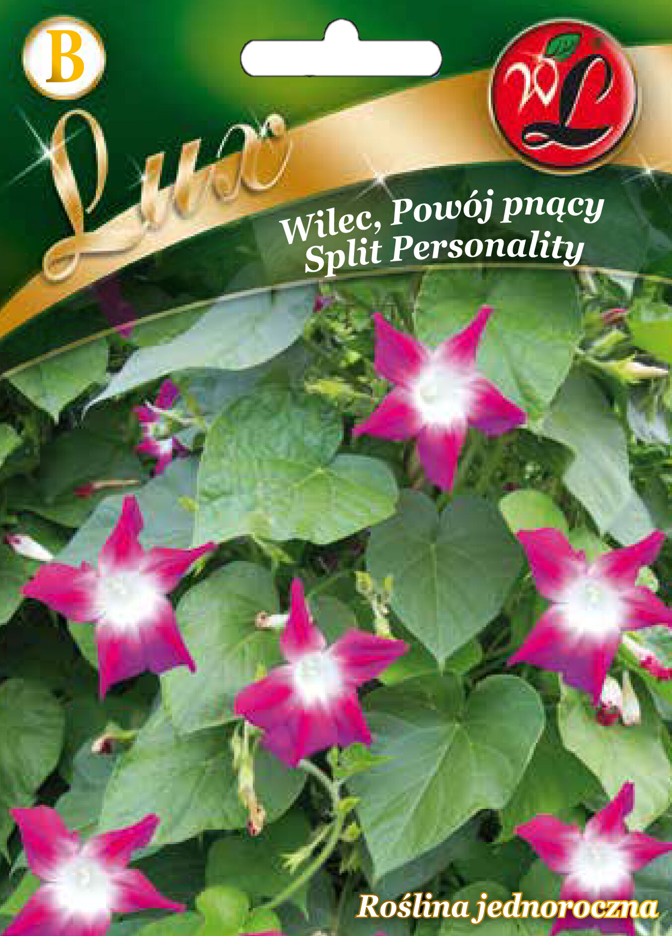 Wilec, Powój pnący Split Personality 250-300 cm W.Legutko - Bricomarche.pl