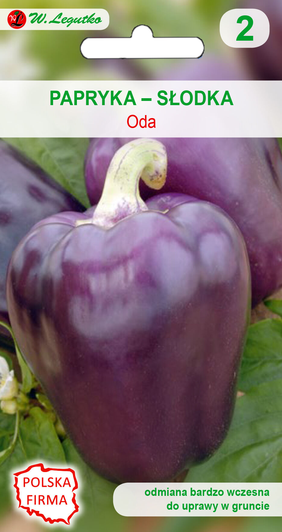 Papryka słodka Oda W.Legutko - Bricomarche.pl
