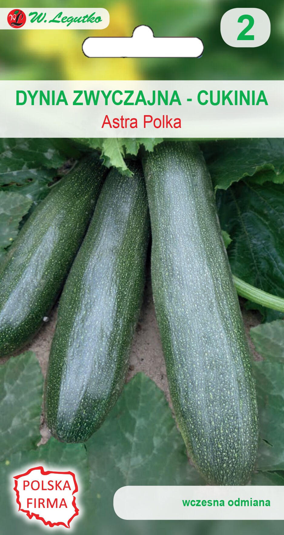 Dynia zwyczajna cukinia Astra Polka V W.Legutko - Bricomarche.pl