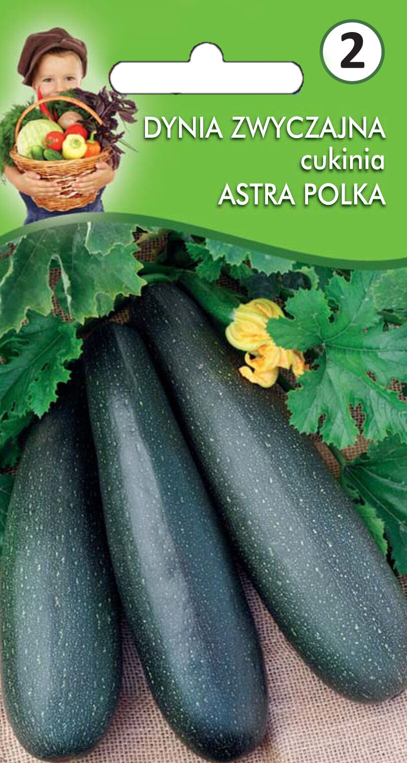 Dynia zwyczajna cukinia Astra Polka V W.Legutko - Bricomarche.pl