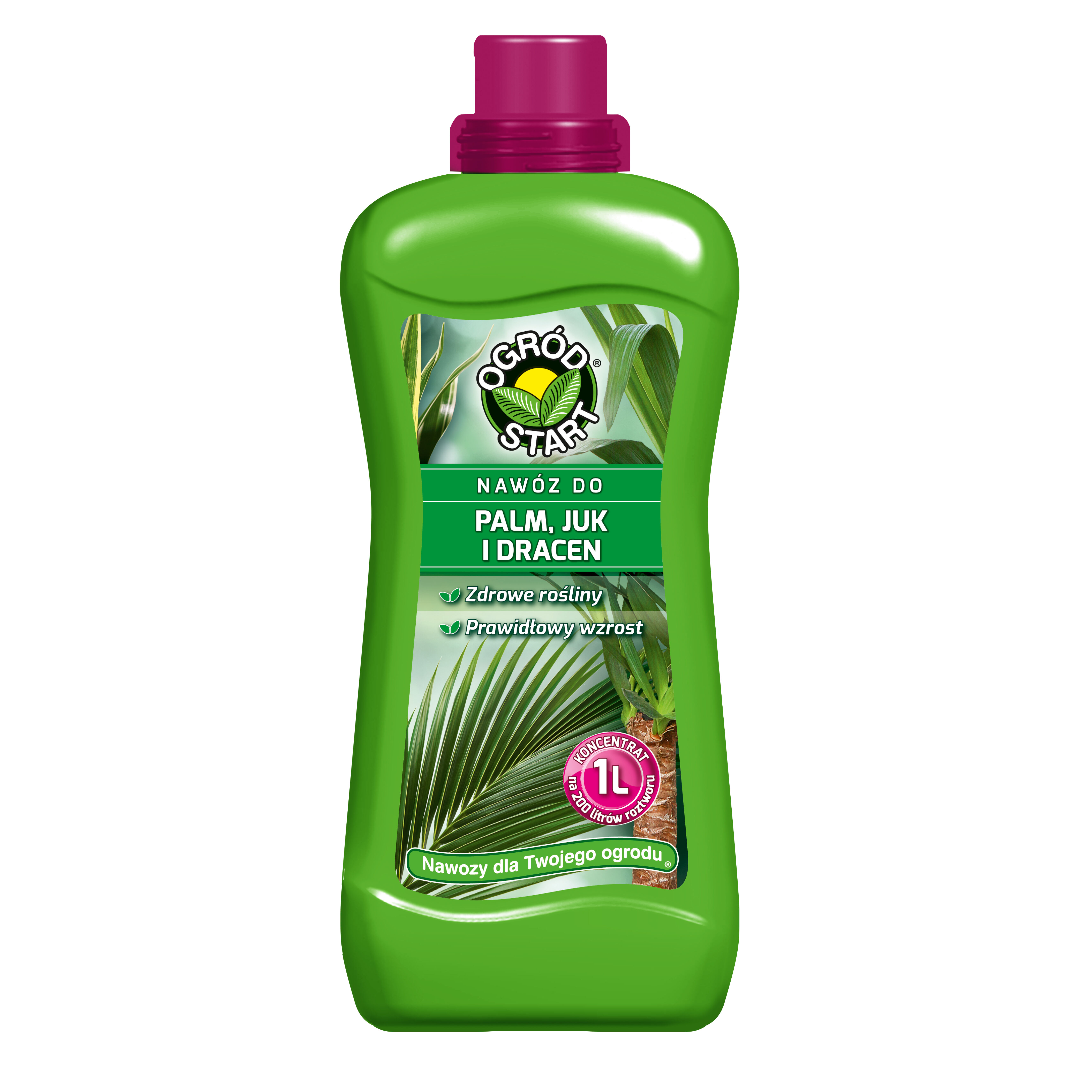 Nawóz do palm, juk i dracen 1 l - Bricomarche.pl