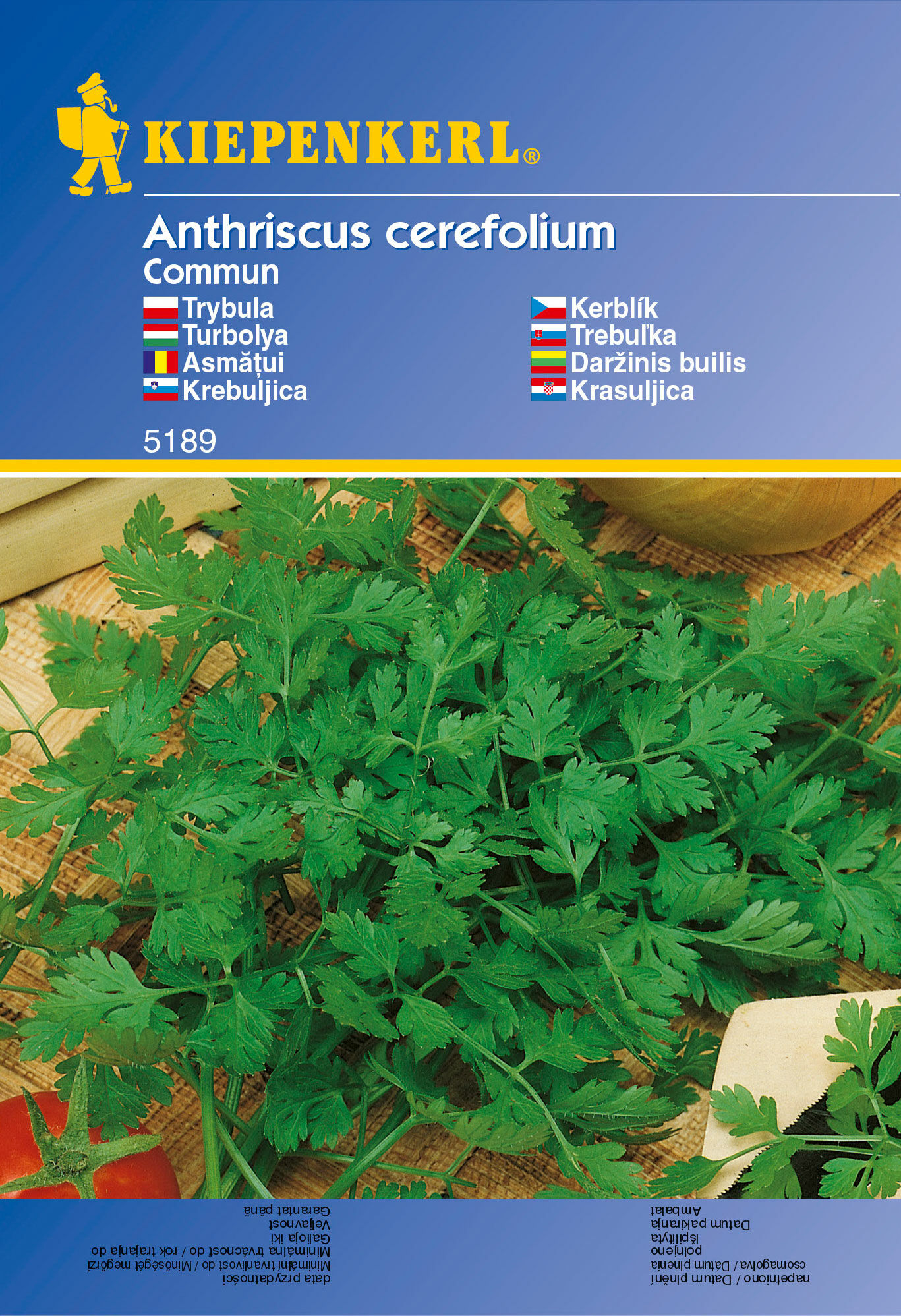 Trybula jednoroczna - Bricomarche.pl