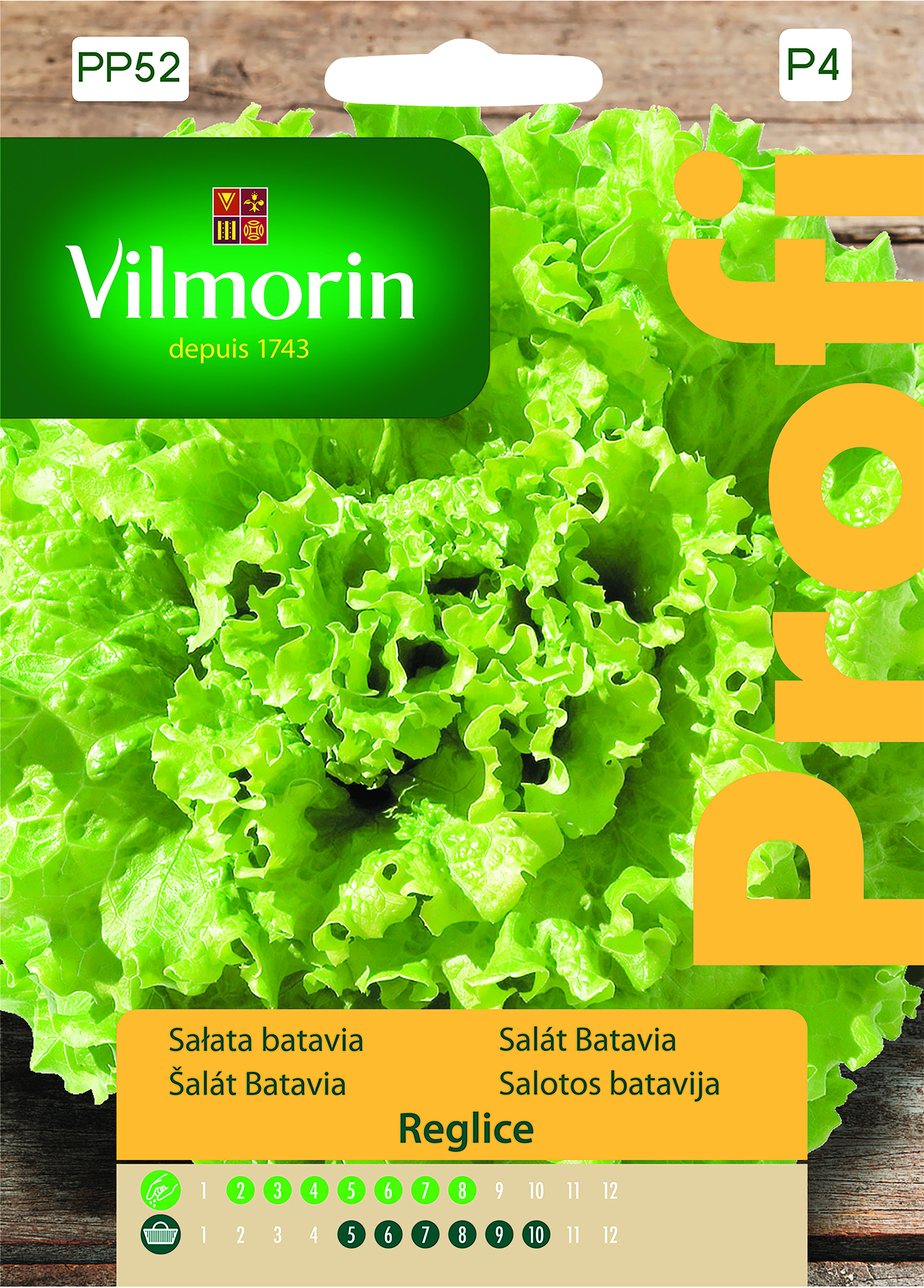 Sałata gruntowa batavia Reglice 0,5 g Vilmorin Garden - Bricomarche.pl