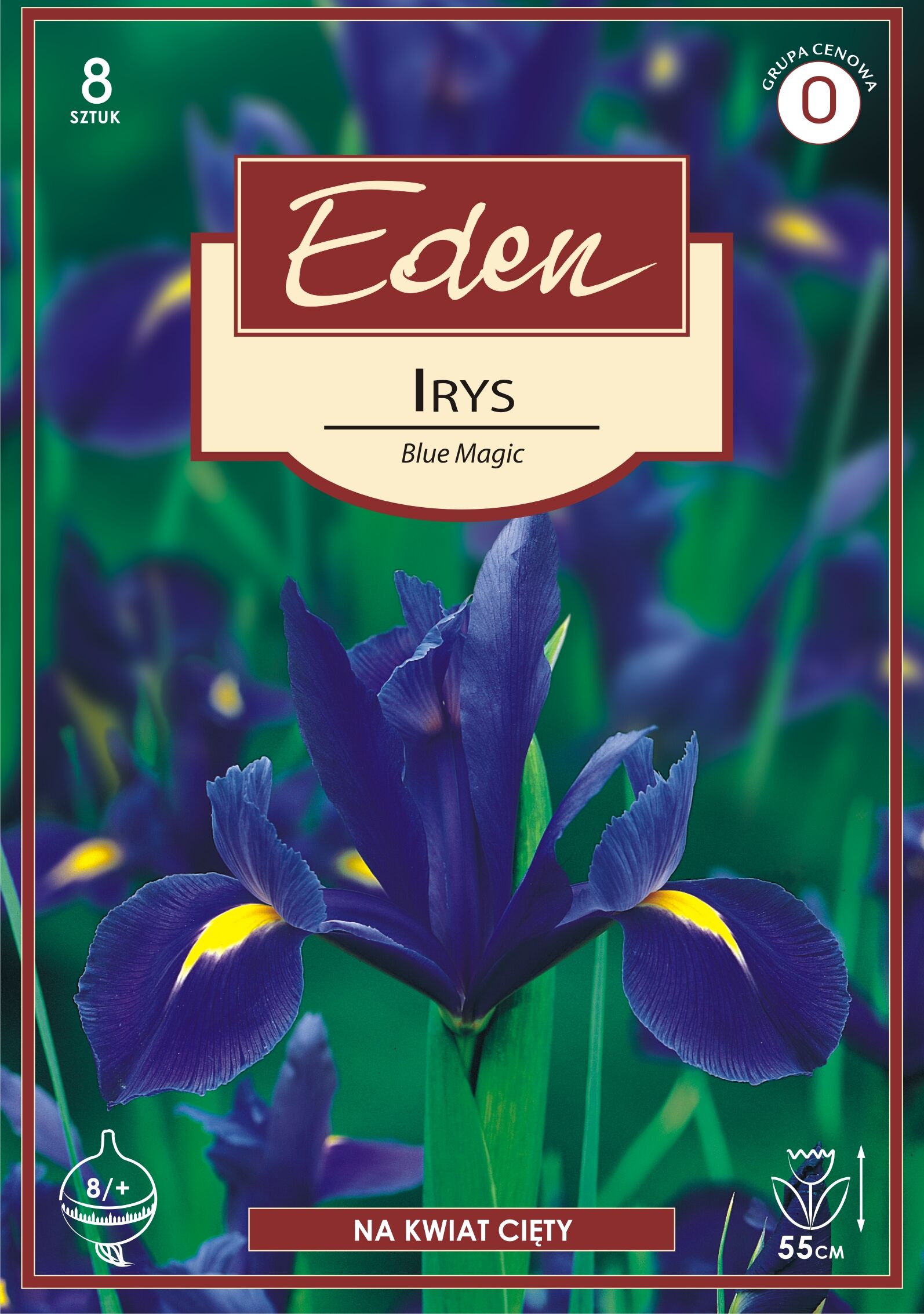 Irys Holandica Blue Magic 8 sztuk Eden - Bricomarche.pl