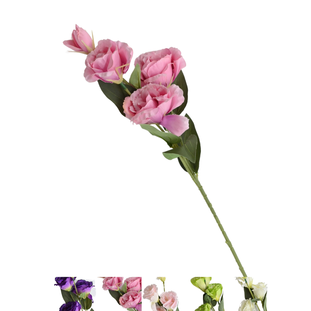Eustoma gałązka mix kolorów 70 cm - Bricomarche.pl