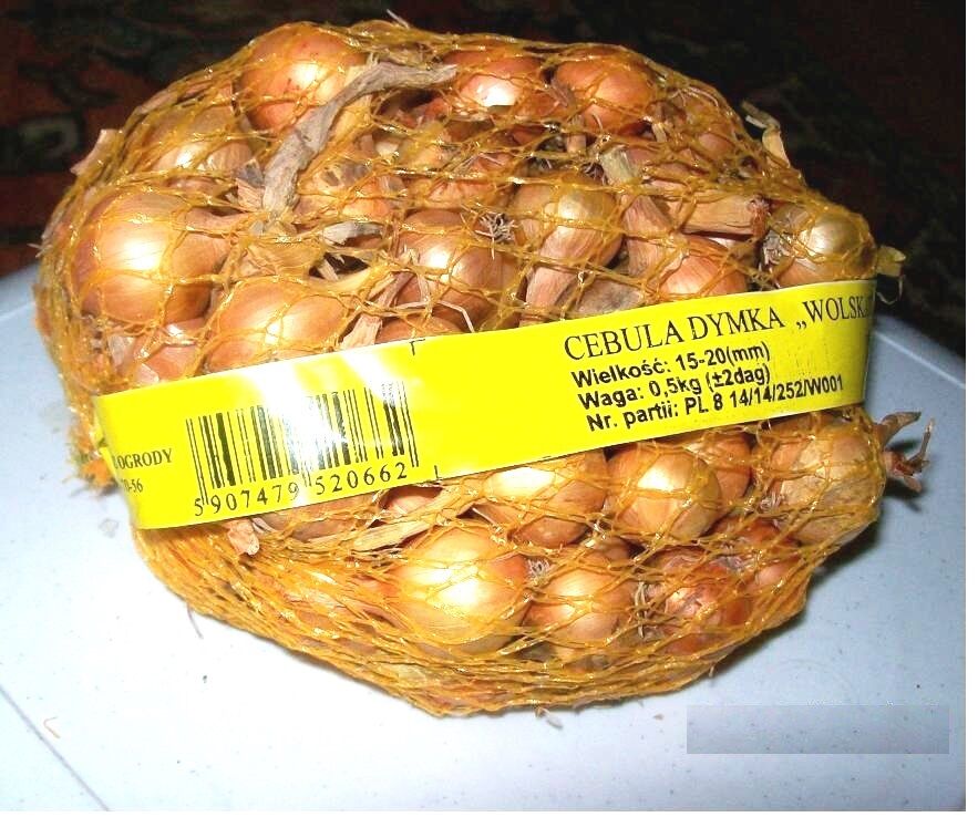 Cebula dymka Wolska żółta III 15 - 20 mm 0,5 kg - Bricomarche.pl